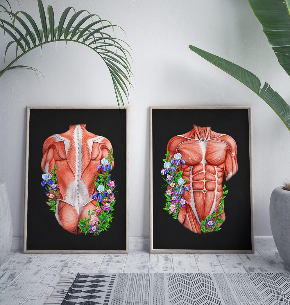 Male back muscles - Anatomy Art - Codex Anatomicus