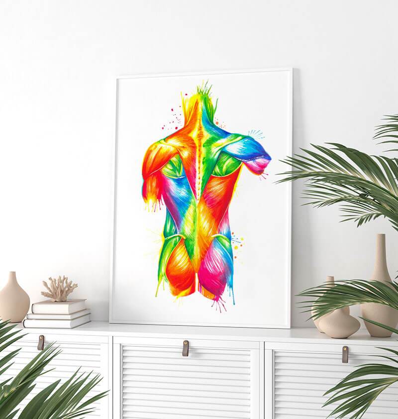 Back muscles anatomy - Watercolor poster - Codex Anatomicus