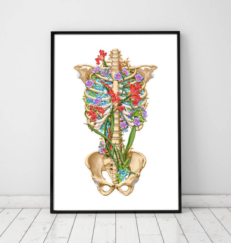 Floral rib cage anatomy art print - Codex Anatomicus