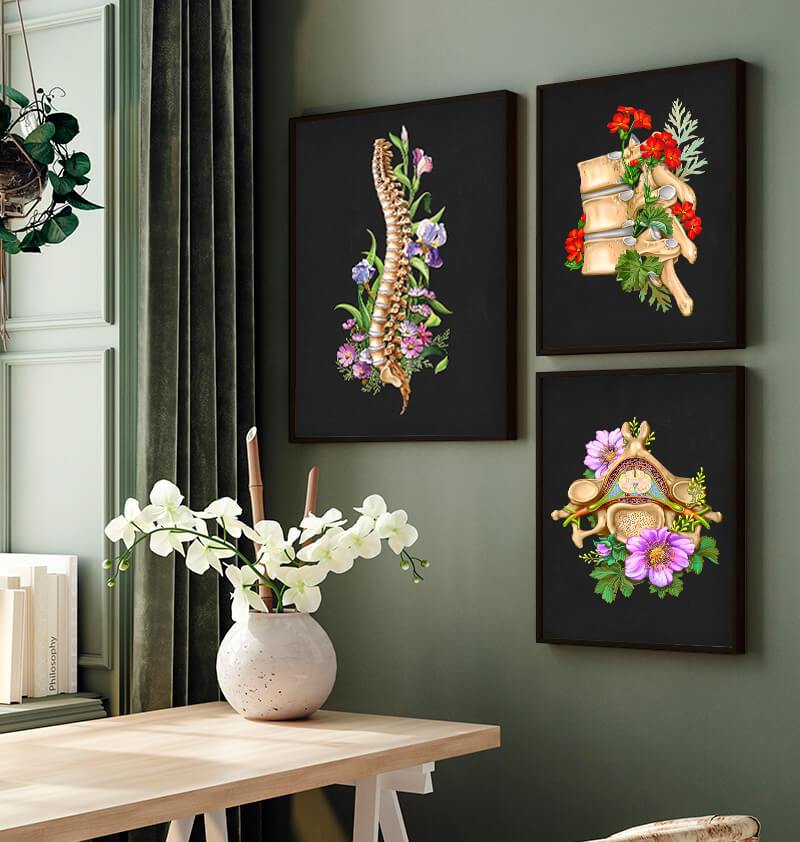 Cervical vertebrae anatomy art print – Codex Anatomicus