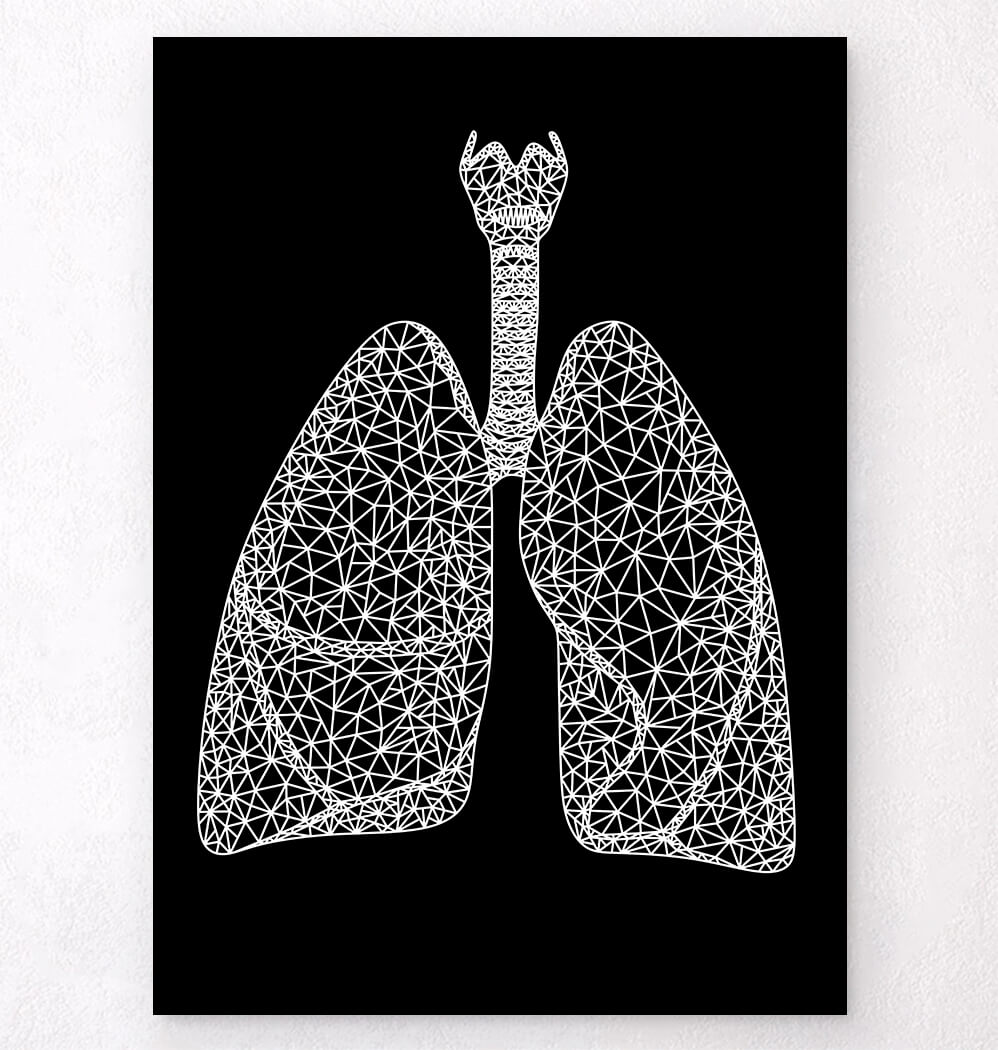 Minimal geometrical lungs anatomy art print - Codex Anatomicus