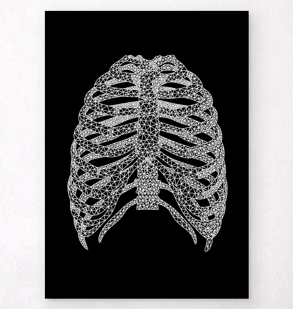 Minimal rib cage anatomy poster - Codex Anatomicus
