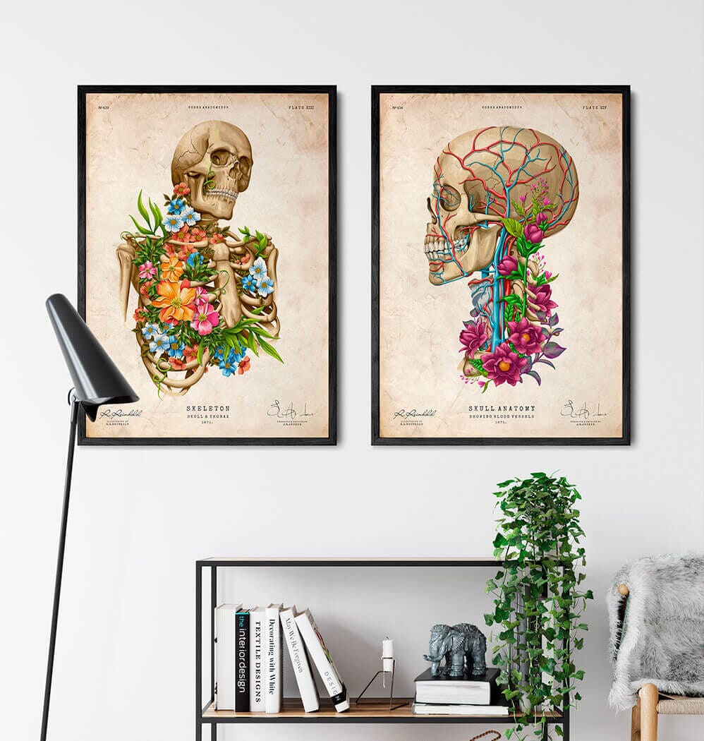 Floral skeleton - Anatomy art print - Codex Anatomicus