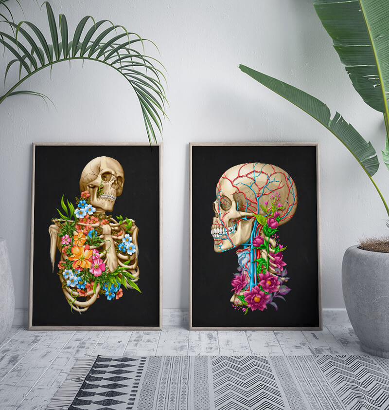 Floral skull - Anatomy art print - Codex Anatomicus