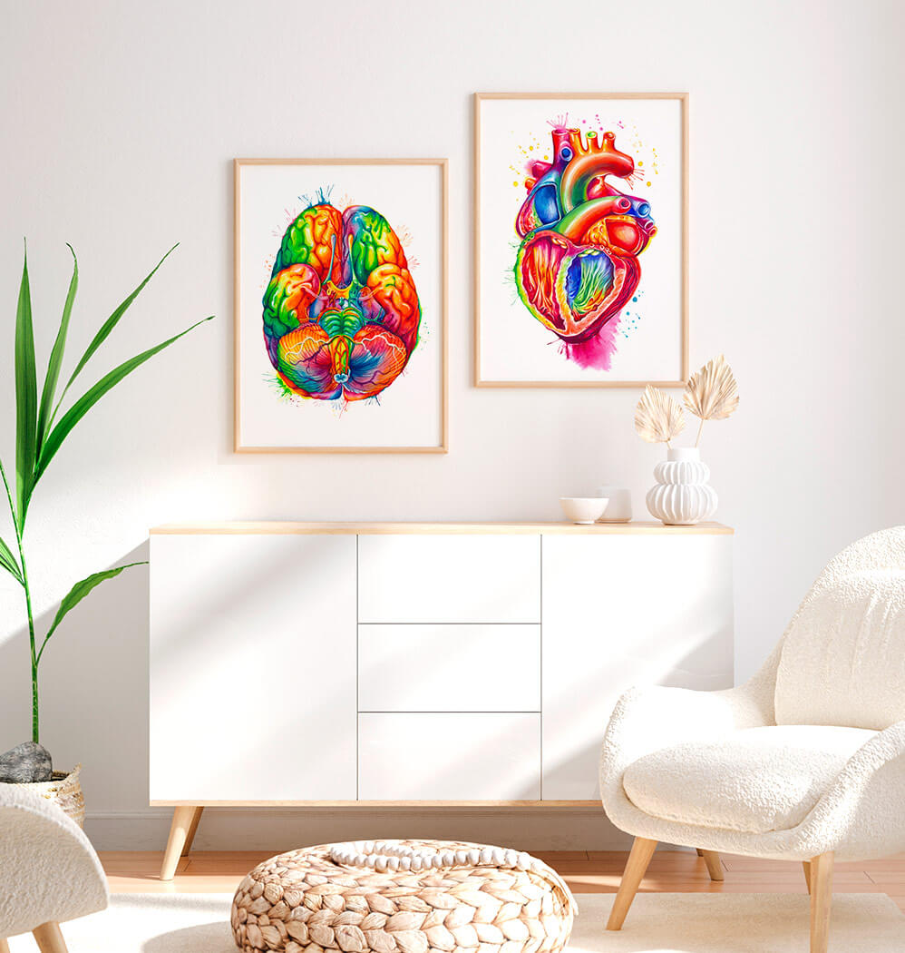 Anatomical heart art - Anatomy Art - Codex Anatomicus