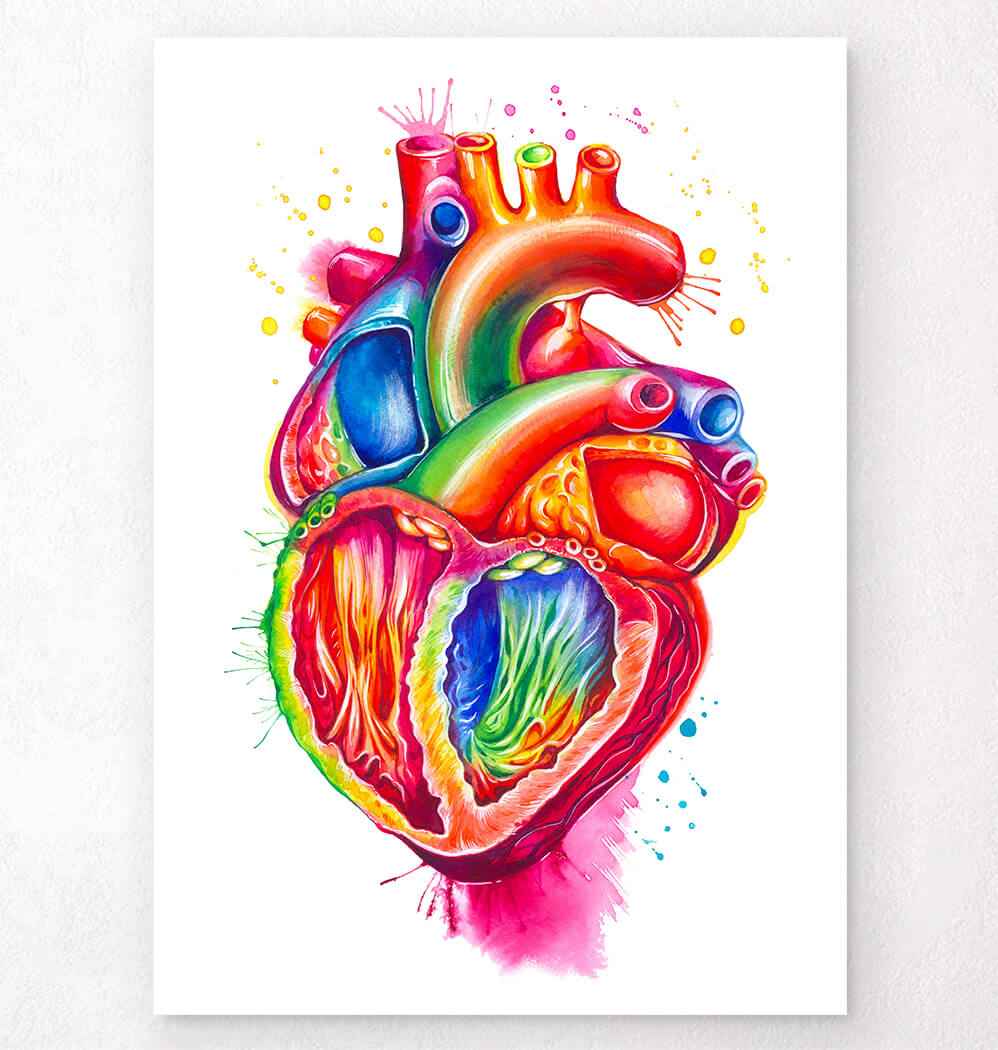 Anatomical heart art - Anatomy Art - Codex Anatomicus