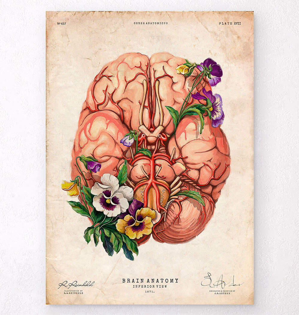 Anatomy Brain Art Floral Anatomy Brain Art Print — Trisha Thompson