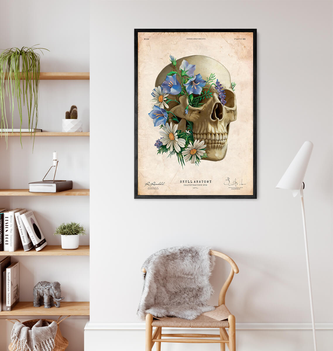 Floral skull anatomy art diagram – Codex Anatomicus