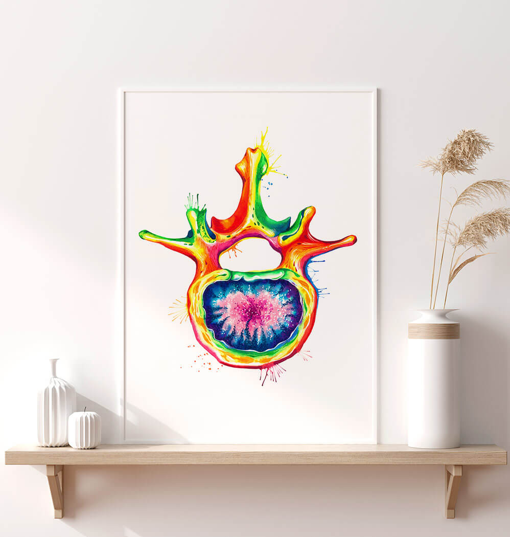 Vertèbre lombaire - Aquarelle - Codex Anatomicus