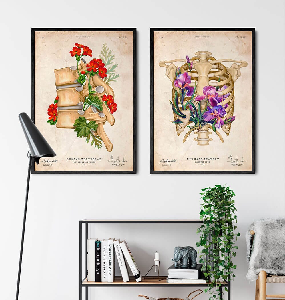 Rib cage with flowers anatomy art diagram – Codex Anatomicus