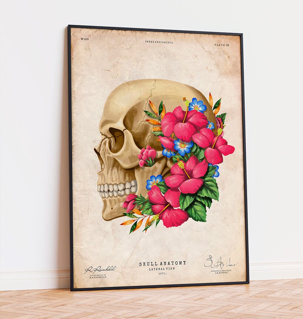 Skull with flowers - Anatomy art print - Codex Anatomicus