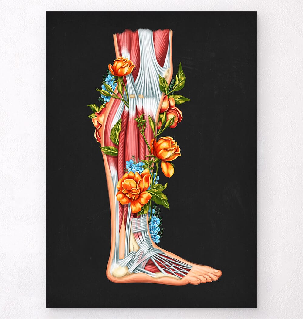 Leg anatomy - Floral - Black - Codex Anatomicus