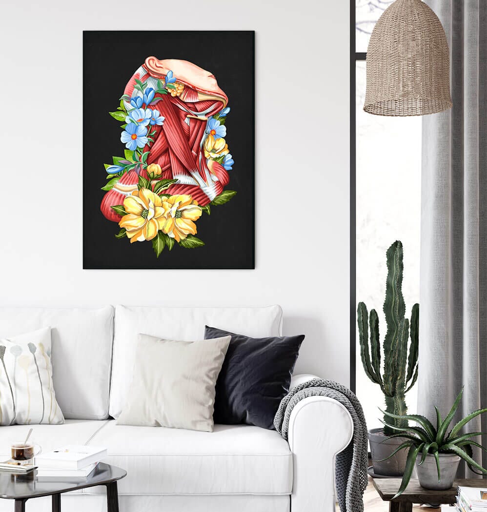 Neck muscles anatomy - Floral - Codex Anatomicus