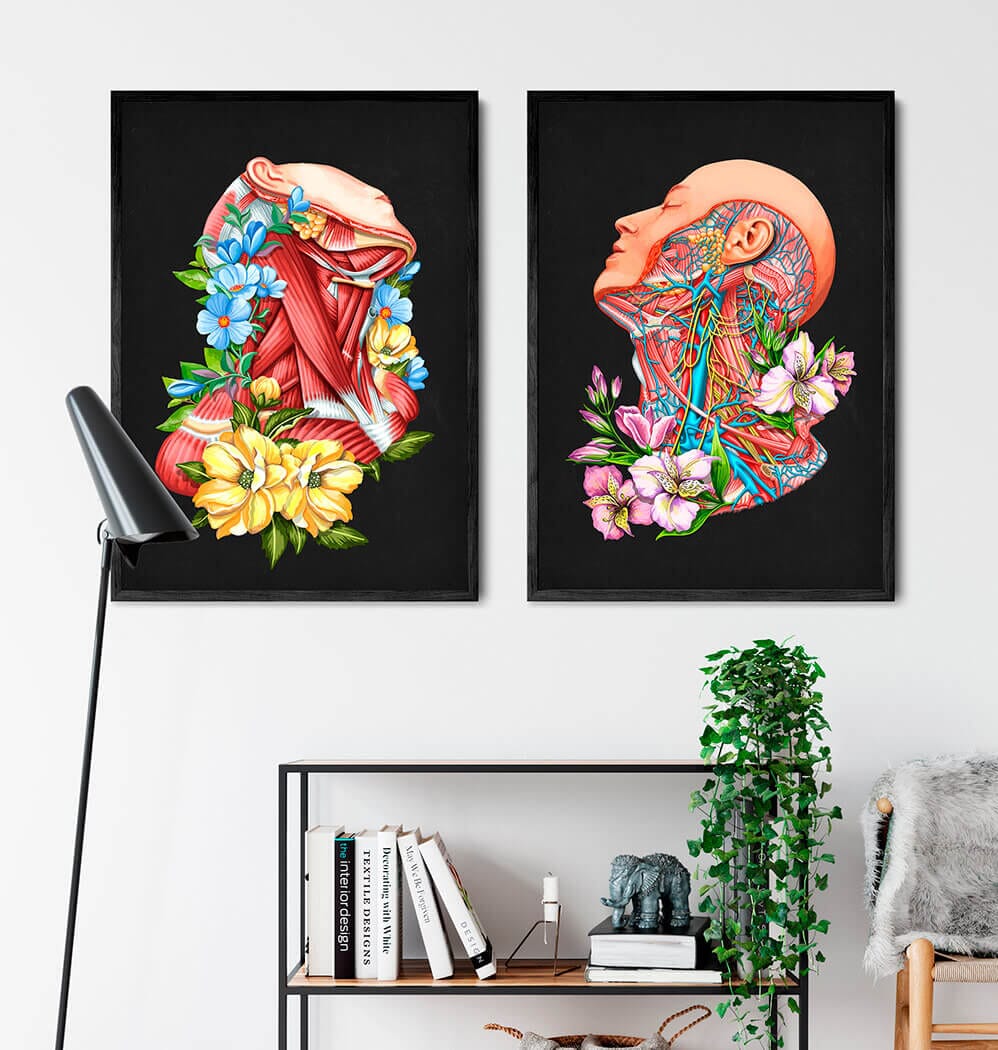 Neck muscles anatomy - Floral - Codex Anatomicus