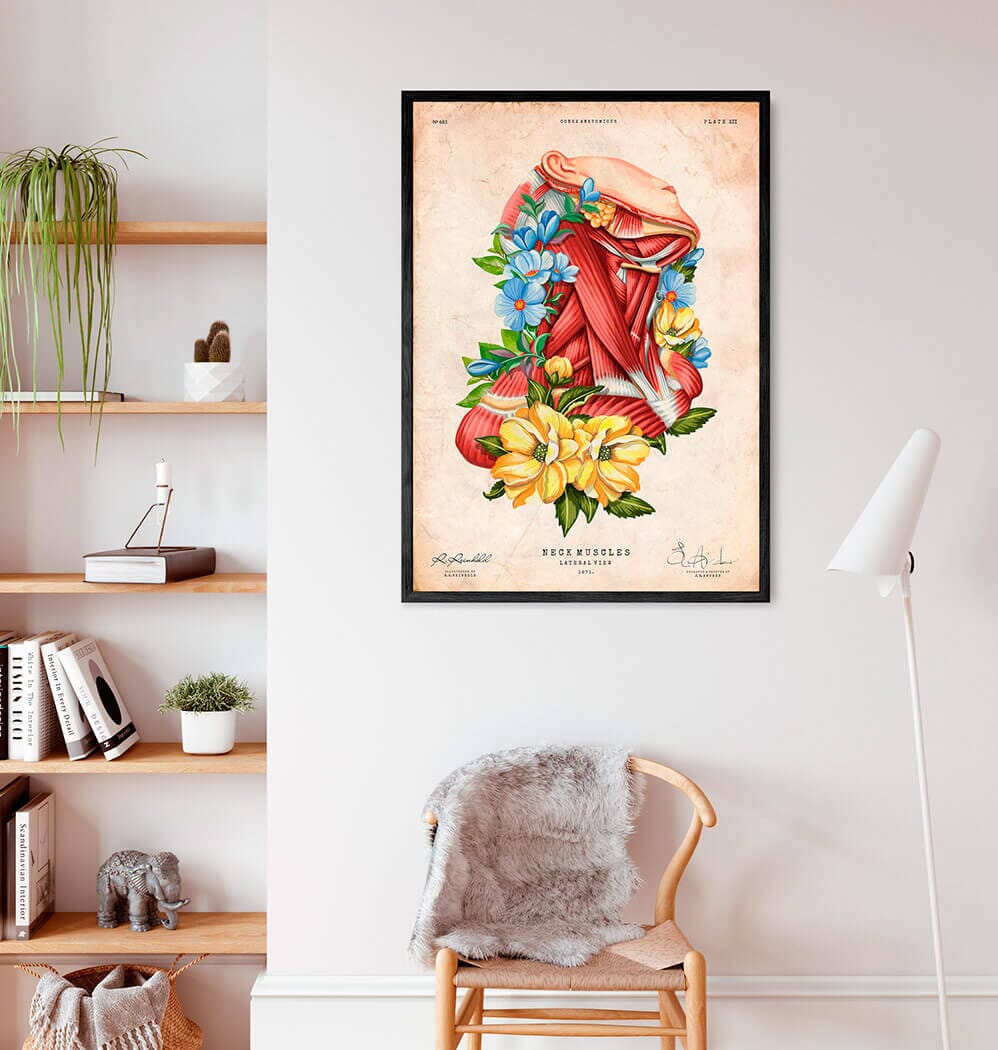 Neck muscles anatomy - Floral - Codex Anatomicus