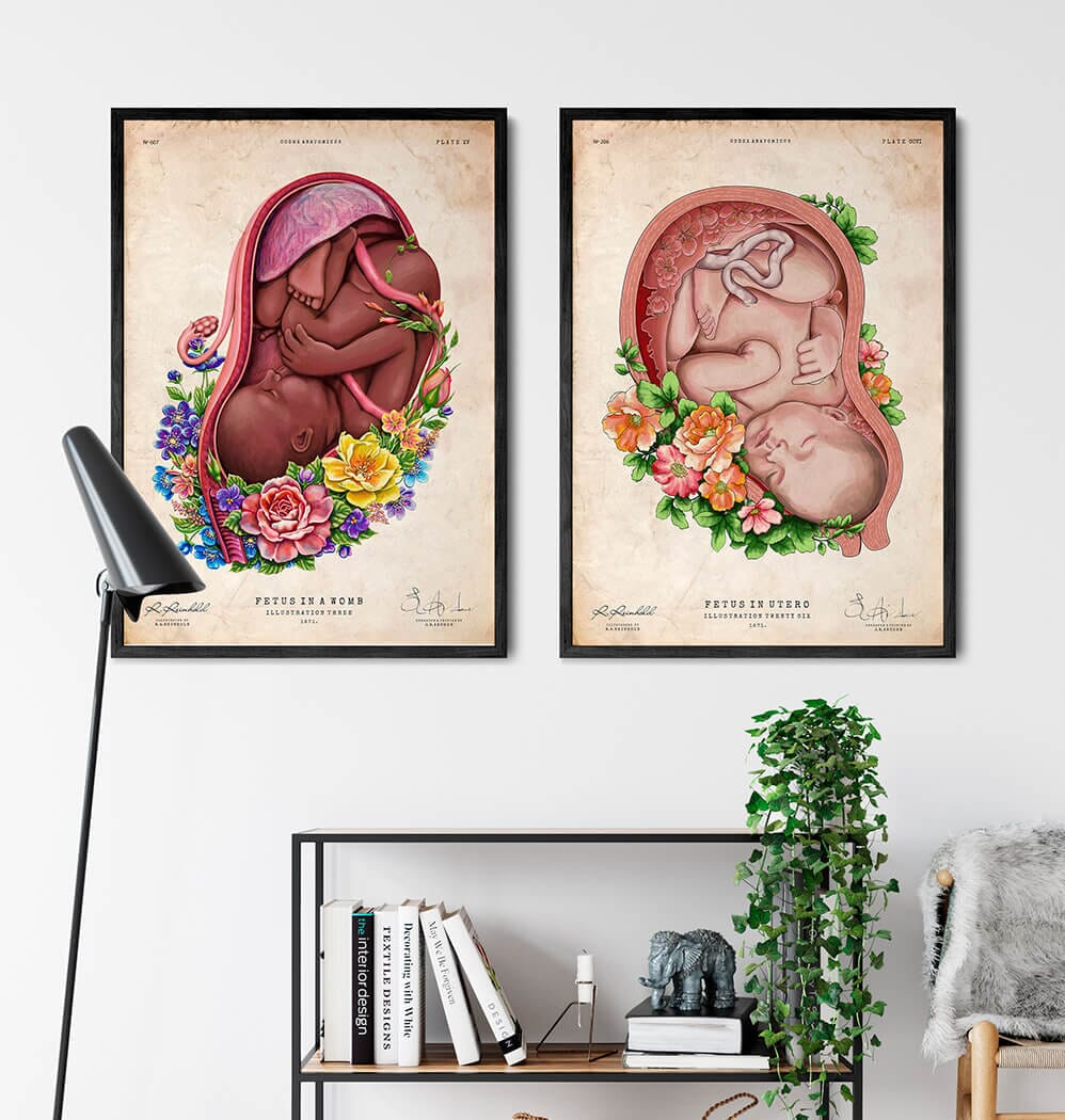 Fetus in a womb anatomy art print – Codex Anatomicus