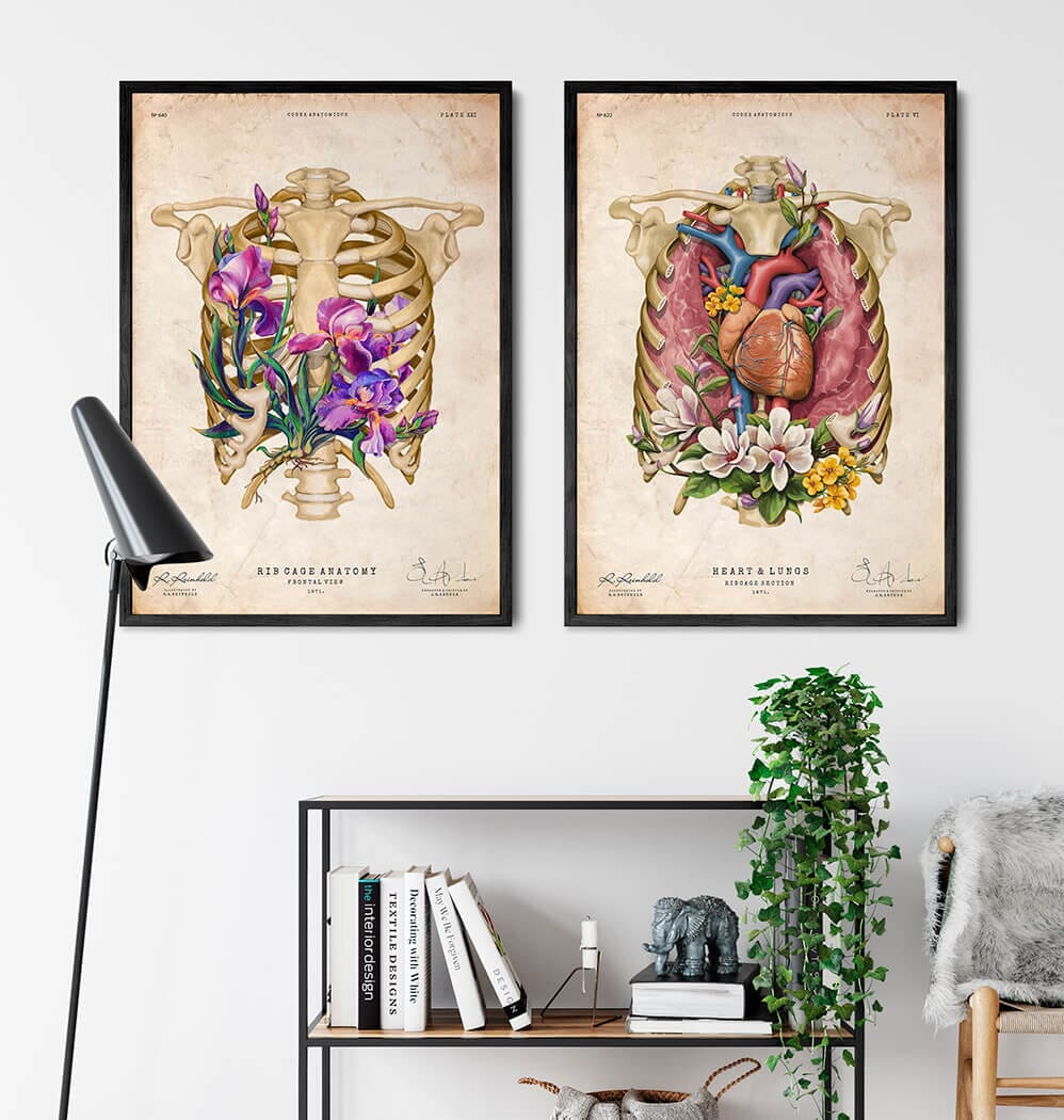 Heart, lungs and a ribcage - anatomy art by Codex Anatomicus