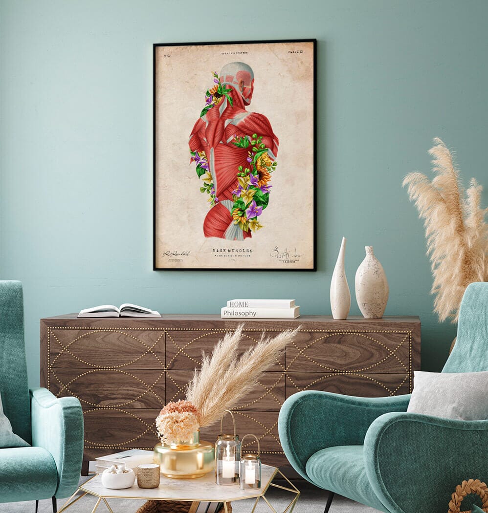 Muscles anatomy art - Codex Anatomicus