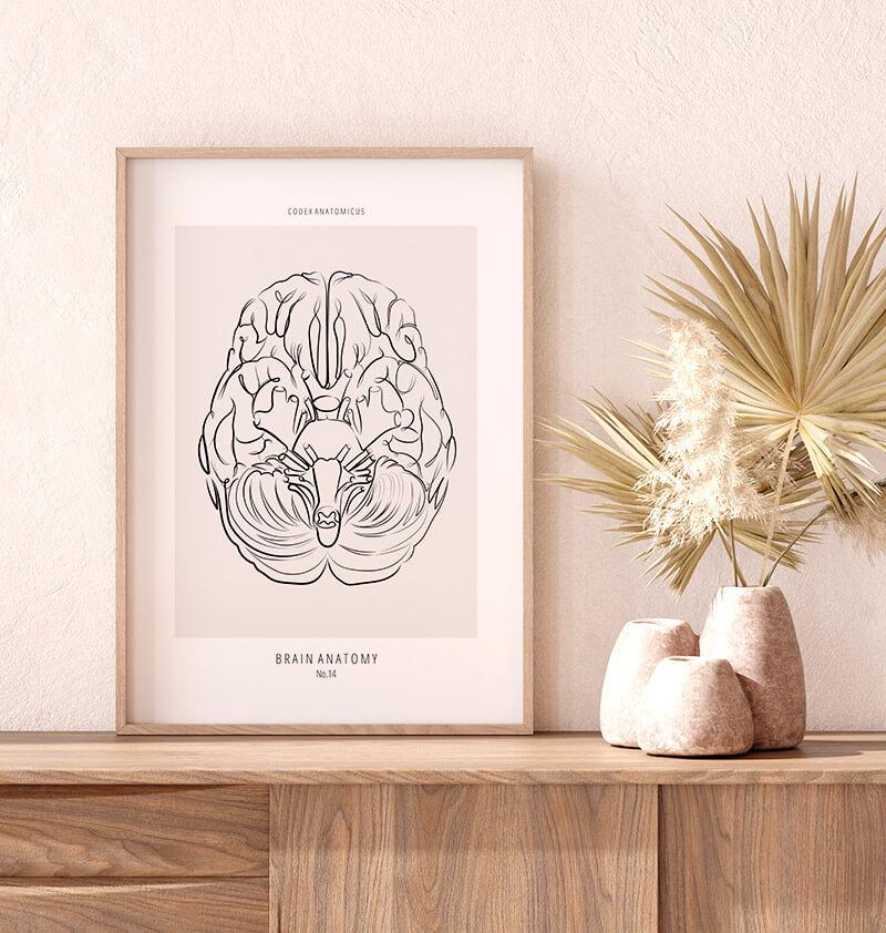 Anatomical brain line art print - Codex Anatomicus