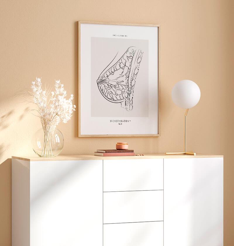 Anatomical breast line art print - Codex Anatomicus