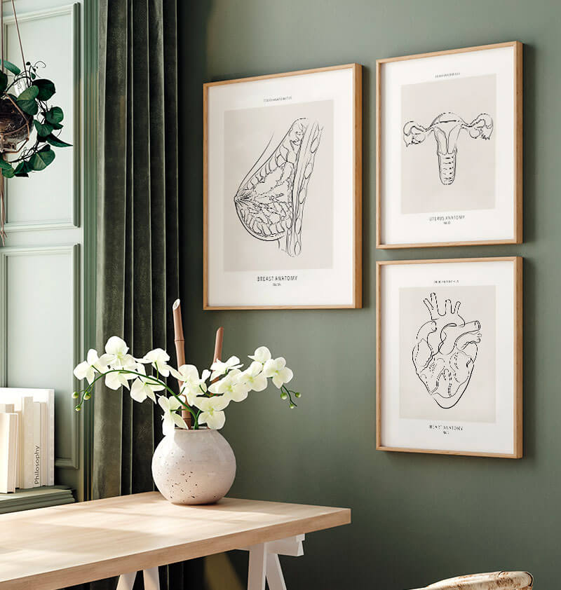 Anatomical breast line art print - Codex Anatomicus