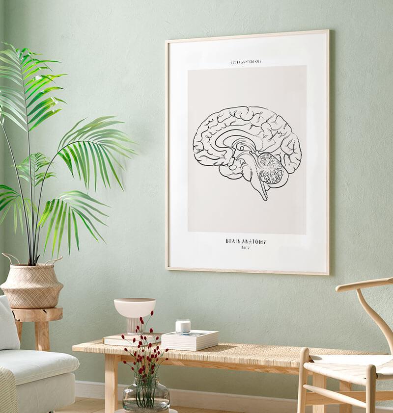 Brain anatomy - Line art print - Codex Anatomicus
