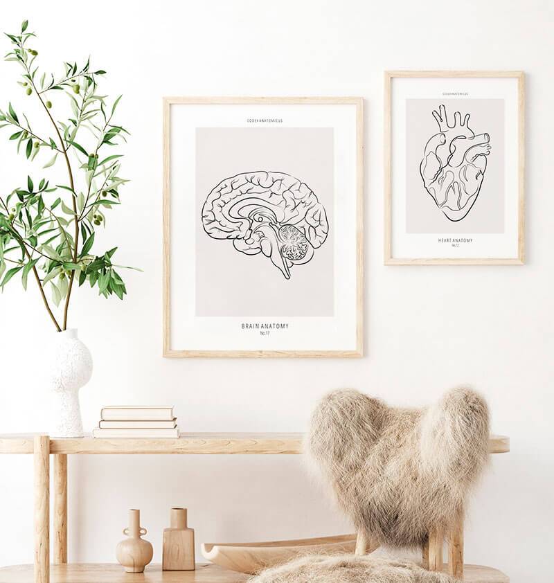 Brain anatomy - Line art print - Codex Anatomicus