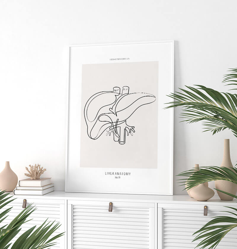 Anatomical liver line art print - Codex Anatomicus