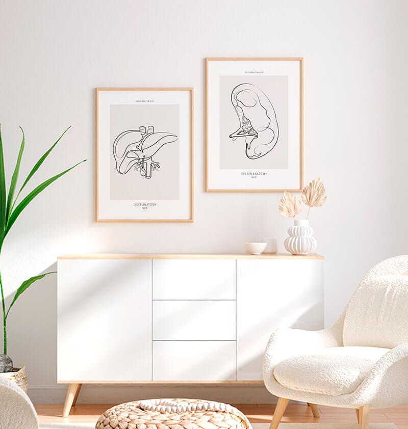 Spleen anatomy - Line art print - Codex Anatomicus