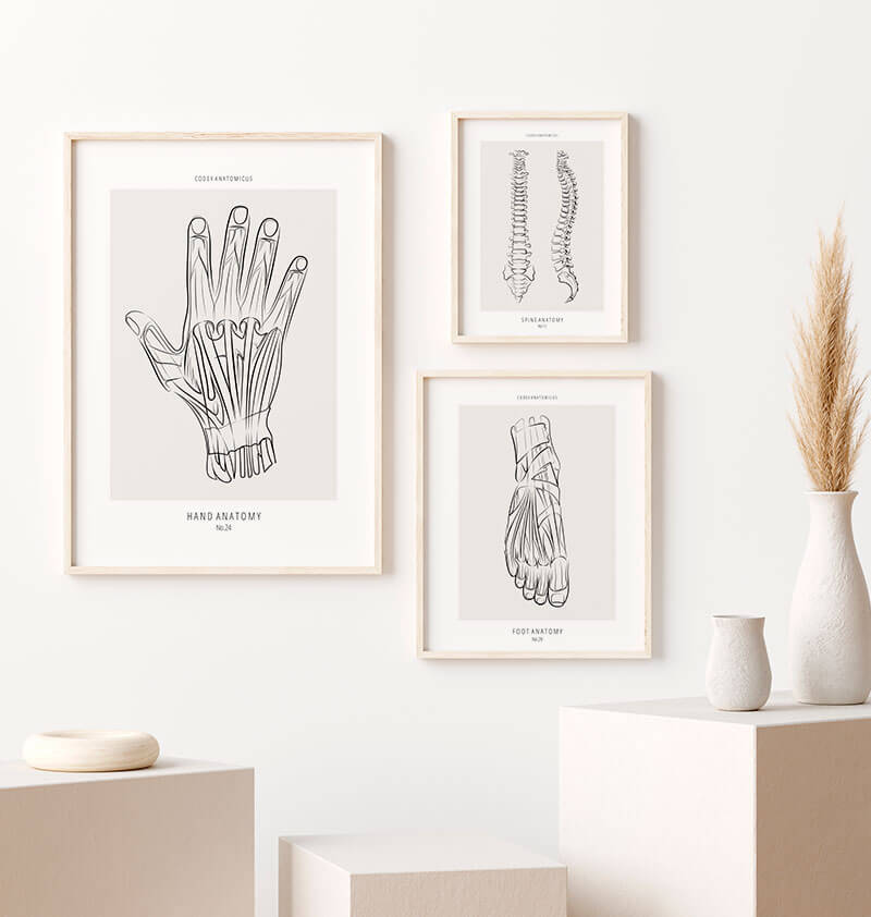 Anatomical hand line art print - Codex Anatomicus
