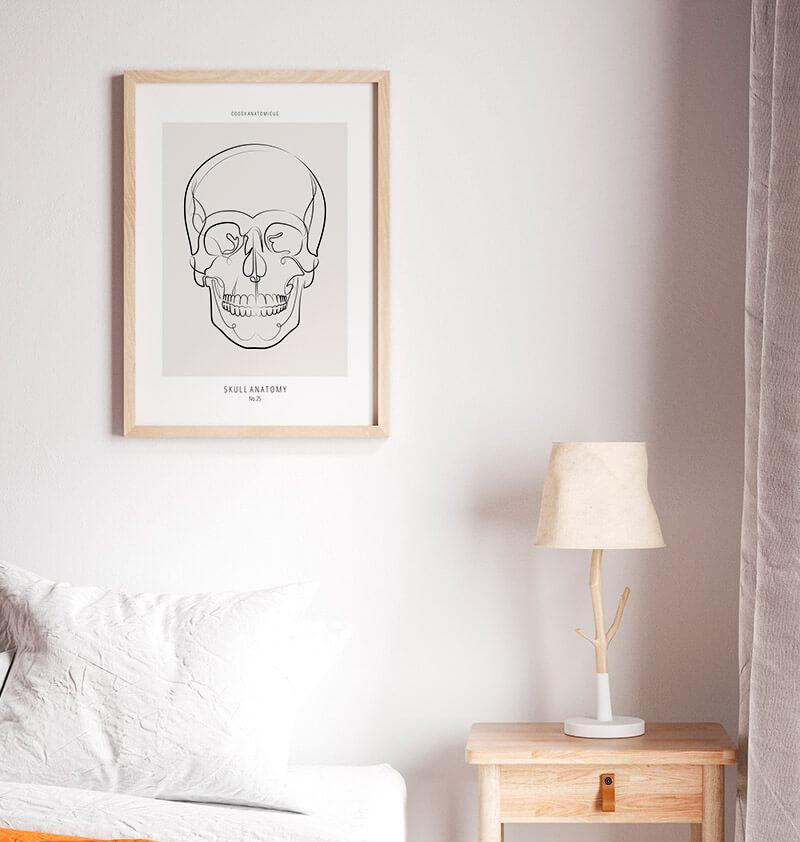 Skull anatomy - Line art print - Codex Anatomicus