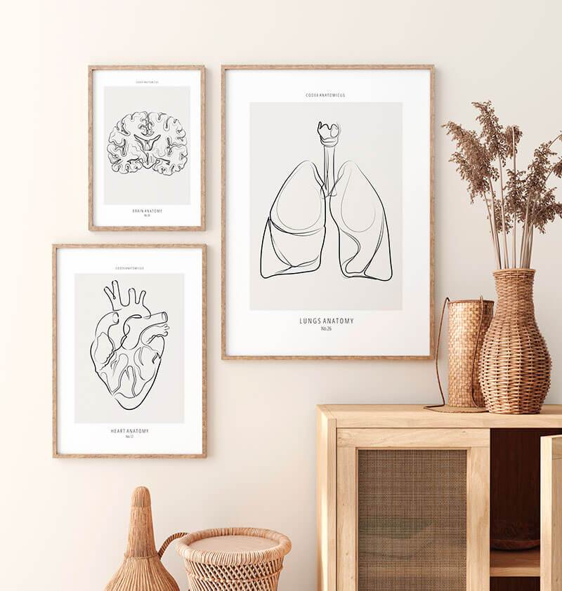 Anatomical lungs line art print - Codex Anatomicus