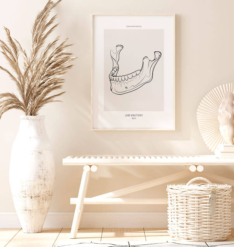 Anatomical jaw line art print - Codex Anatomicus