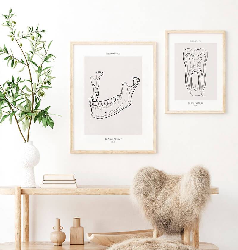 Anatomical jaw line art print - Codex Anatomicus