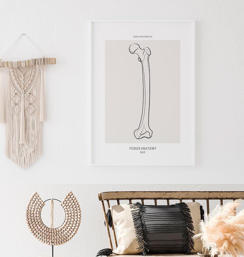 Anatomical femur line art print - Codex Anatomicus