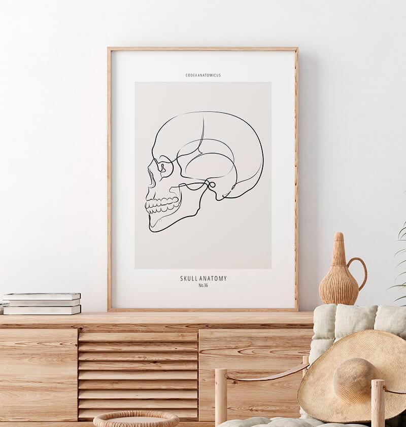 Anatomical skull line art print - Codex Anatomicus