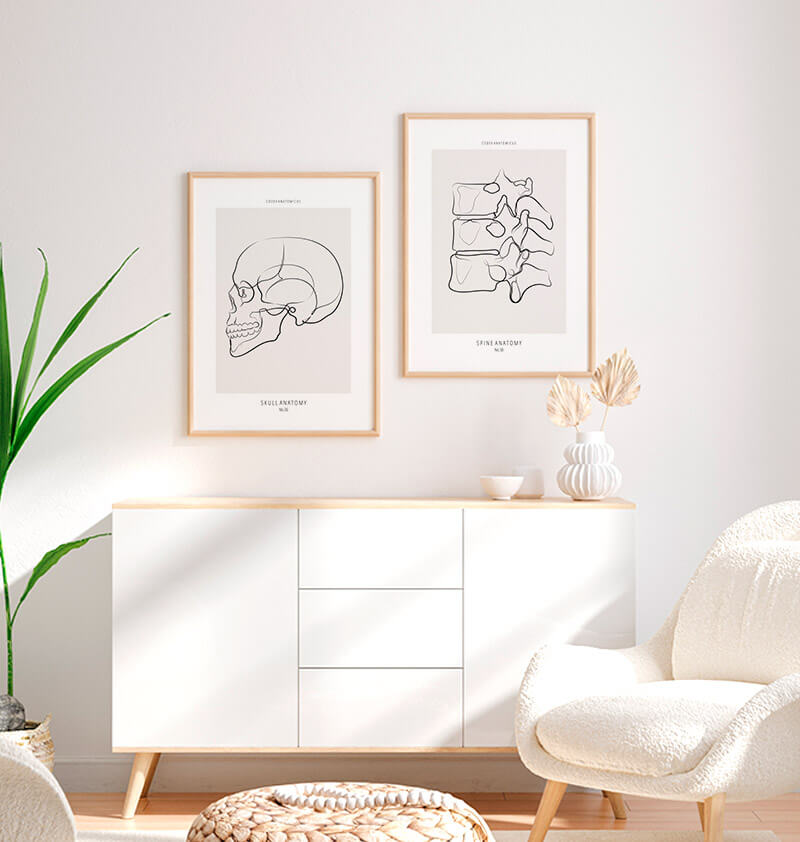 Anatomical skull line art print - Codex Anatomicus