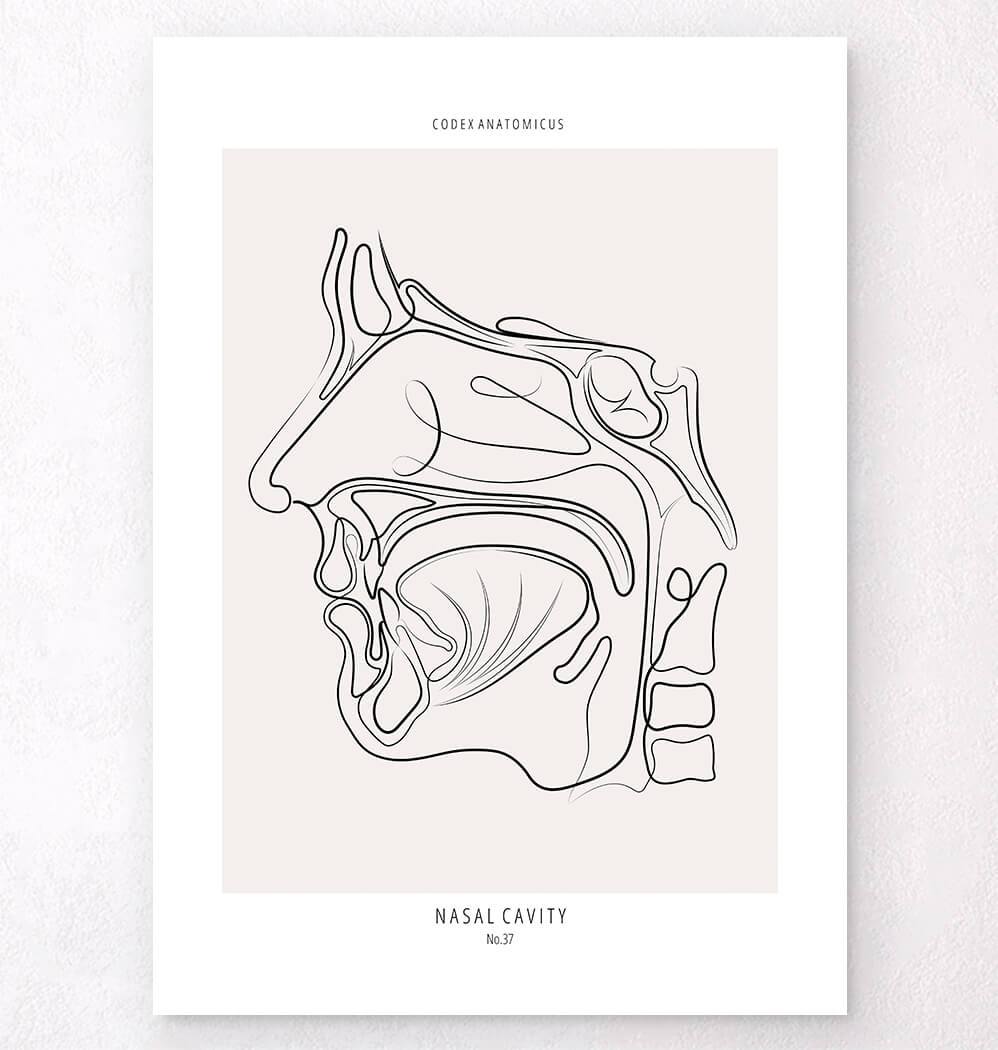 Nose Anatomy Line Art Print - Codex Anatomicus