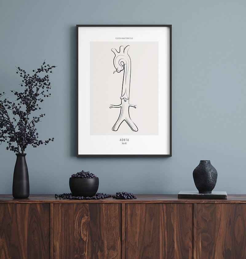 Anatomical aorta line art print - Codex Anatomicus
