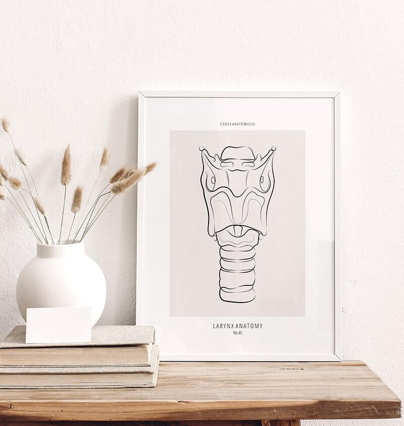 Anatomical larynx line art print - Codex Anatomicus