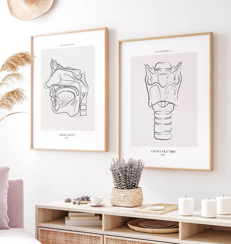 Anatomical larynx line art print - Codex Anatomicus