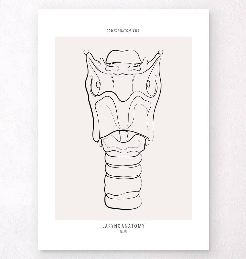 Anatomical larynx line art print - Codex Anatomicus
