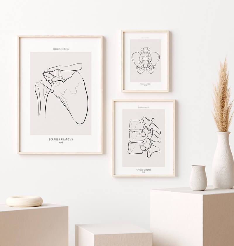 Shoulder anatomy - Line art print - Codex Anatomicus