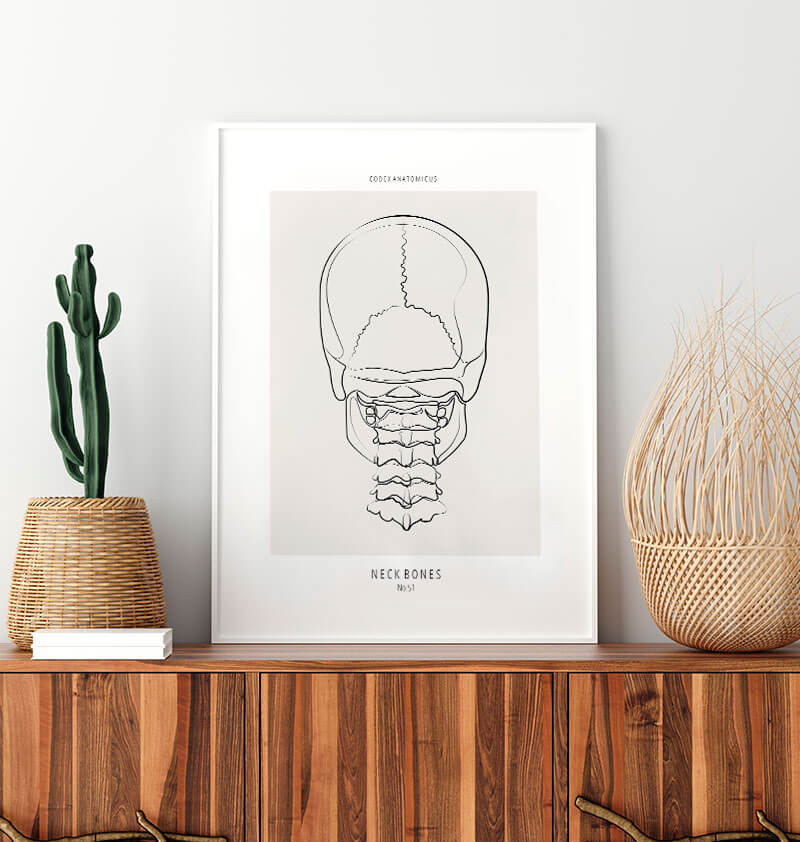 Anatomical neck line art print - Codex Anatomicus