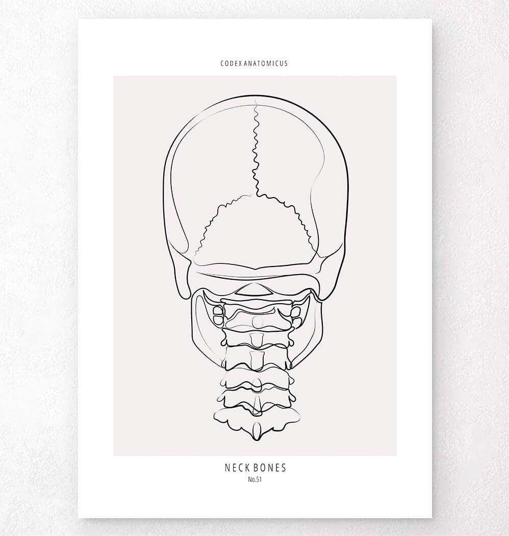 Anatomical neck line art print - Codex Anatomicus