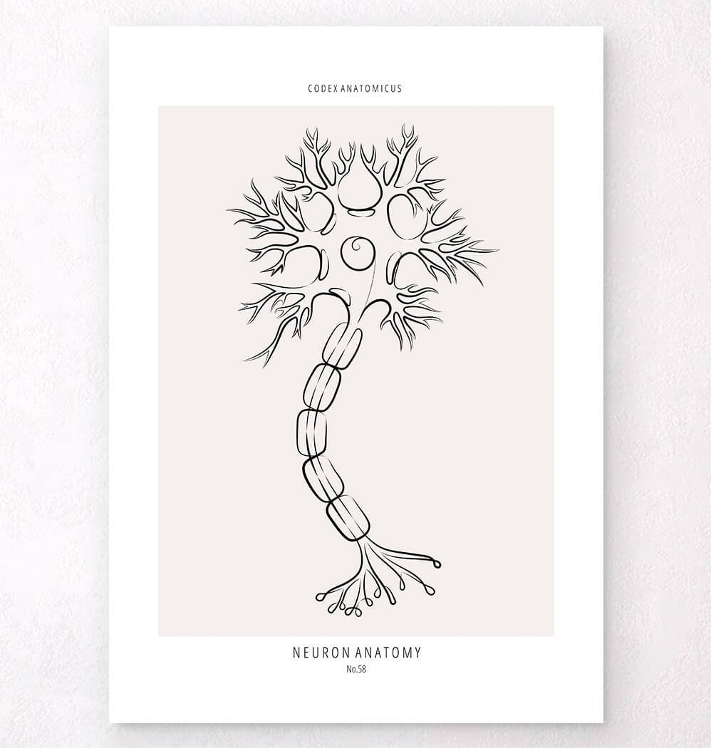 Neuron anatomy line art print - Codex Anatomicus