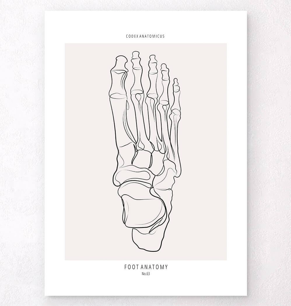 Anatomical foot line art print - Codex Anatomicus