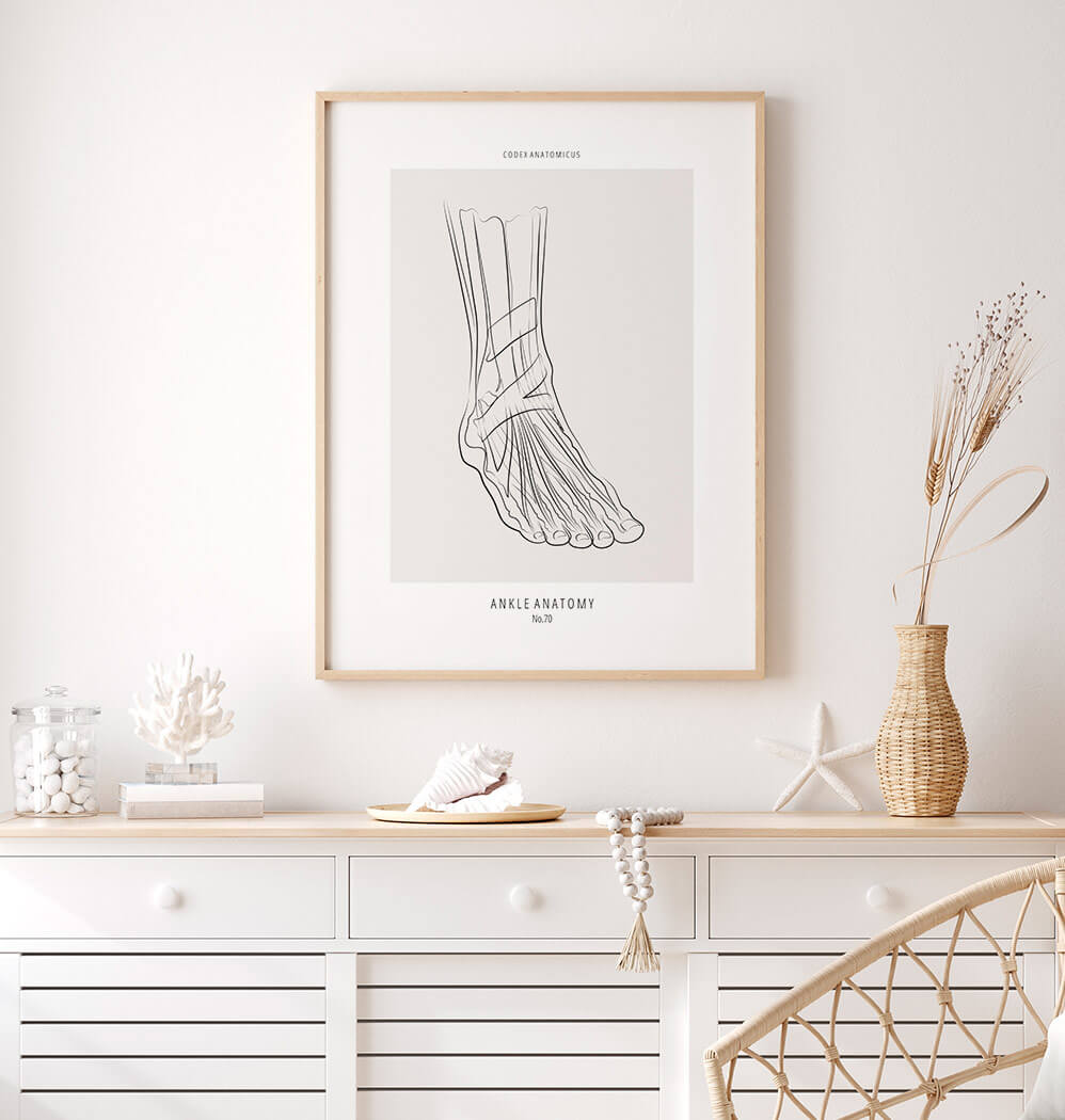 Anatomical ankle line art print - Codex Anatomicus