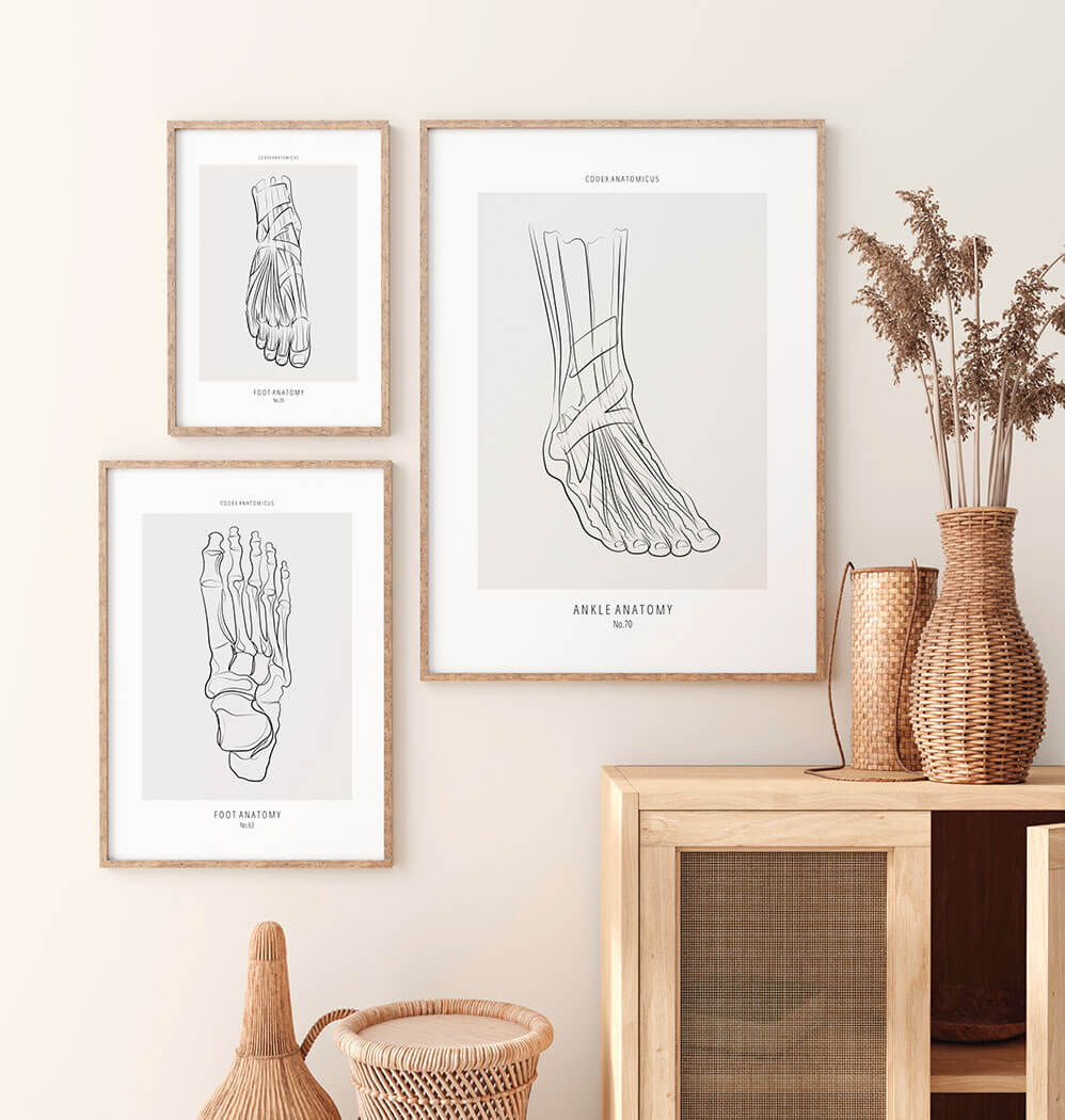 Anatomical ankle line art print - Codex Anatomicus
