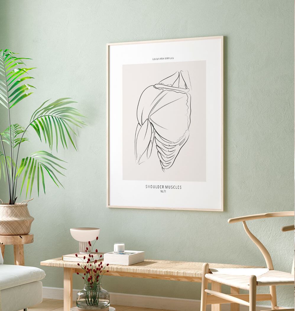 Anatomical shoulder line art print - Codex Anatomicus